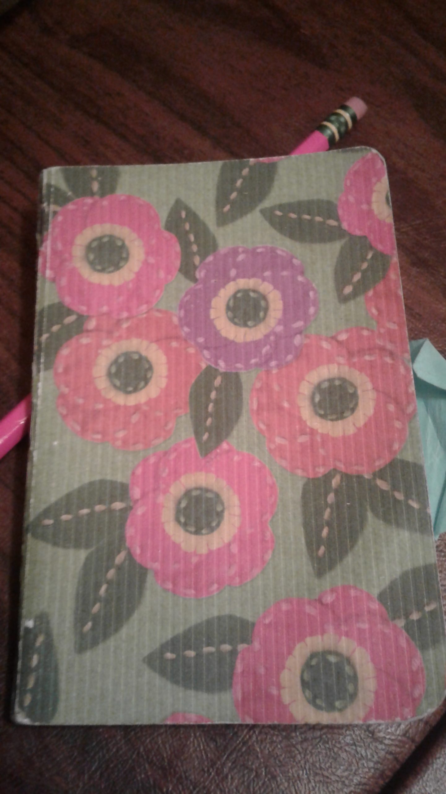 An Updated PigPog PDA | Comfortable Shoes Studio