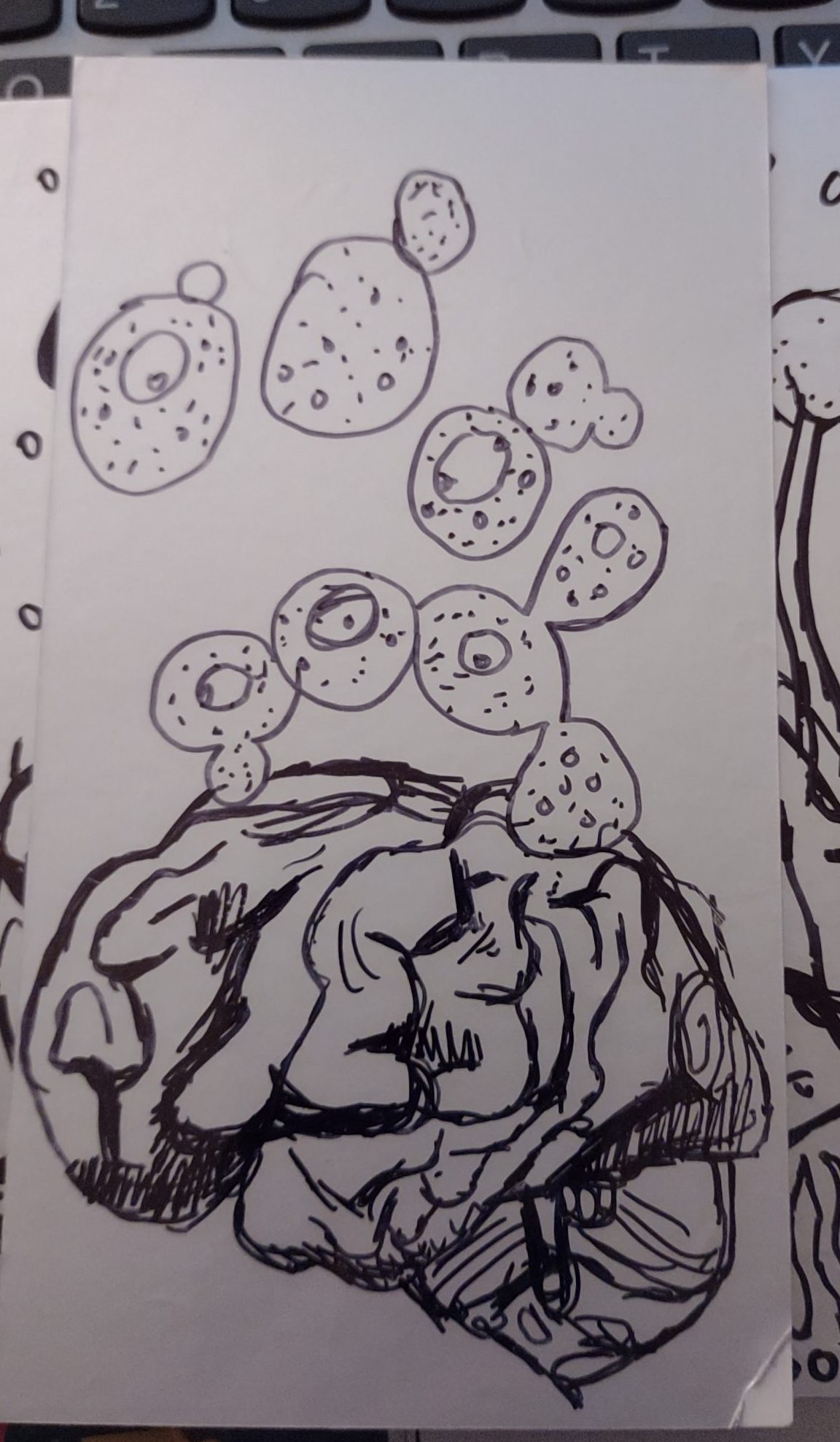 State of the Art: Failing Happily | Comfortable Shoes Studio